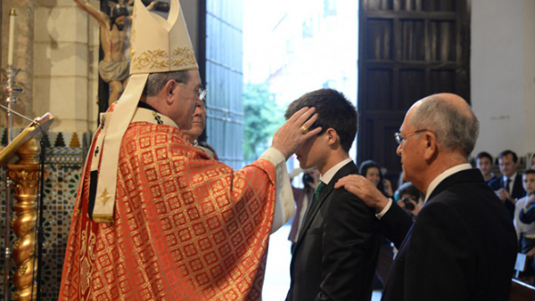 The Sacrament of Confirmation: The Gift of the Holy Spirit and the ...
